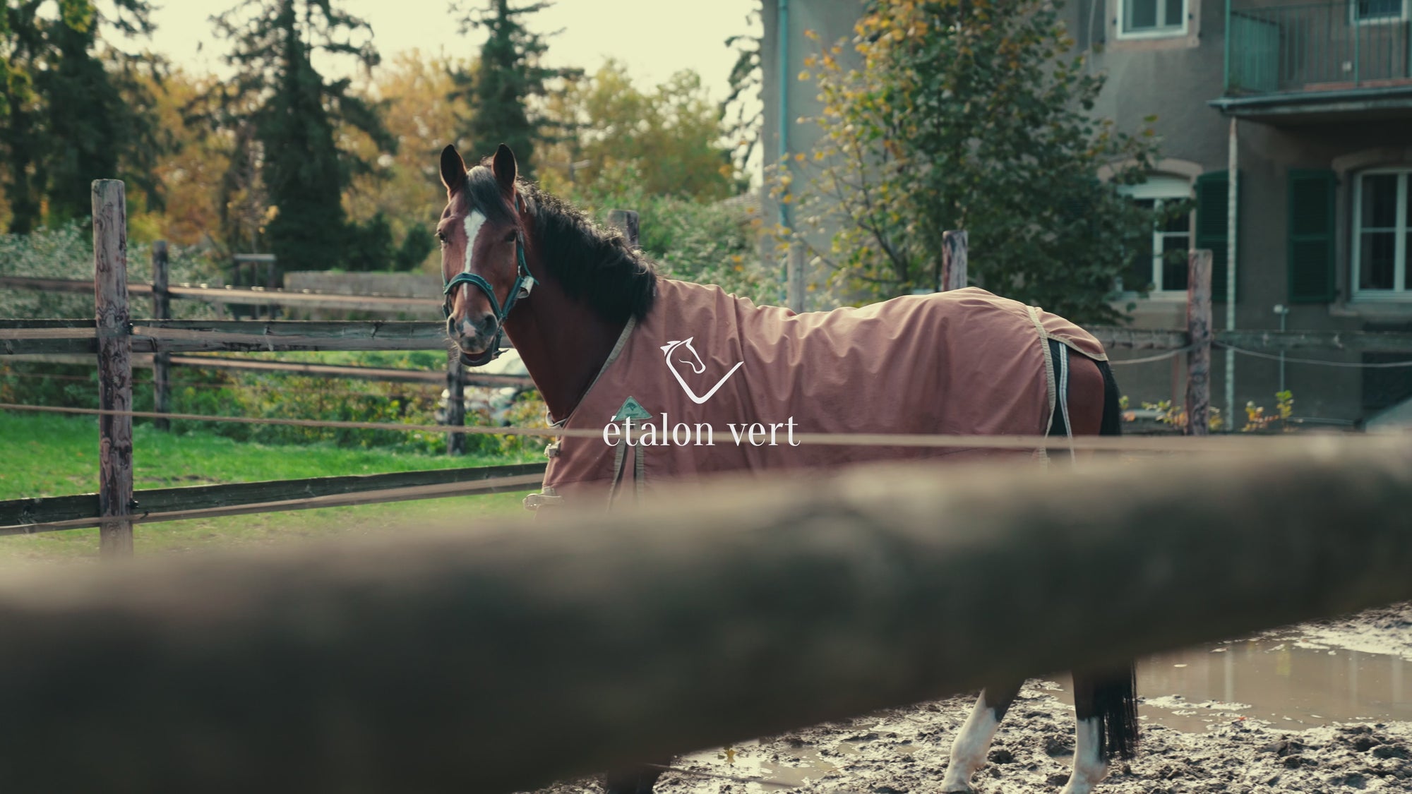 Riding clothing | German equestrian brand for innovative and ...